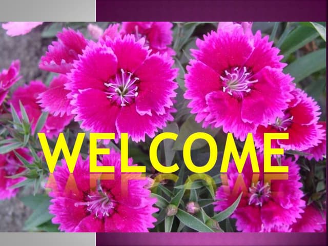 Biology of orthodontic tooth movement | PPT