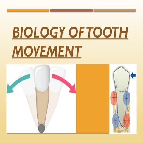BIOLOGY OF TOOTH MOVEMENT orthodontics.pptx