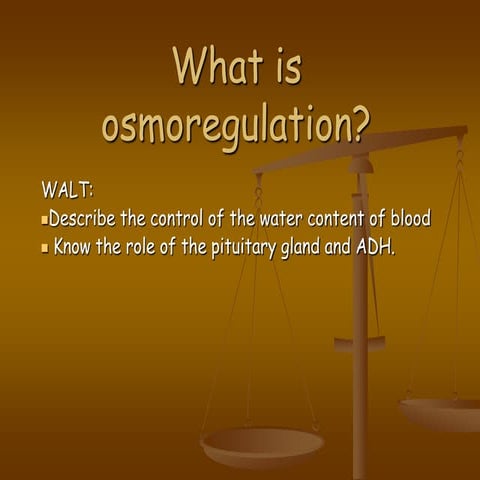 Biology osmoregulation qwizdom | PPT