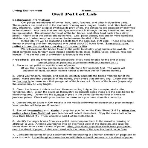 Biology owl pellet lab | PDF