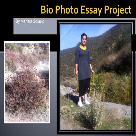 Biology photo essay lab | PPTX | Gardening | Home & Garden