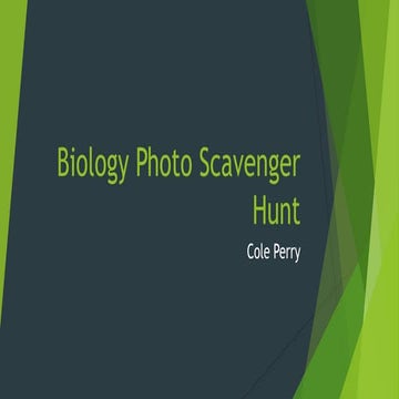 Biology photo scavenger hunt | PPTX | Biological Sciences | Science