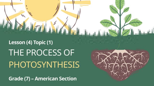 Photosynthesis (class 10) | PPTX