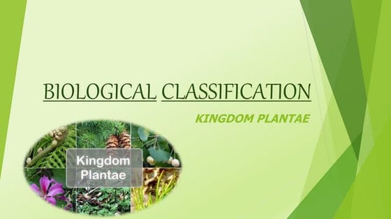 Plant kingdom class 11 | PPTX
