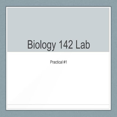 Biology practical #1 (part 1) | PPTX
