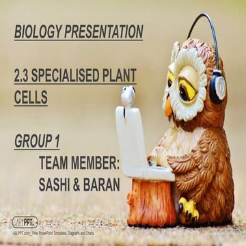 STPM Sem 1 plant Biology presentation slide | PPT