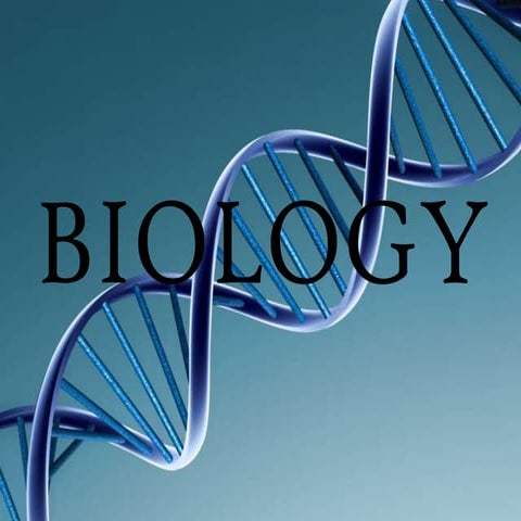Biology Presentation Chapter 6 | PPTX