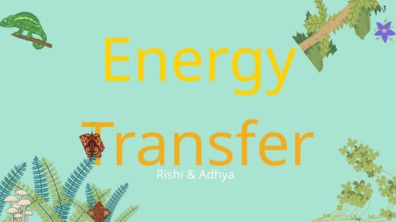 Laws of Thermodynamics in an Ecosystem | PDF