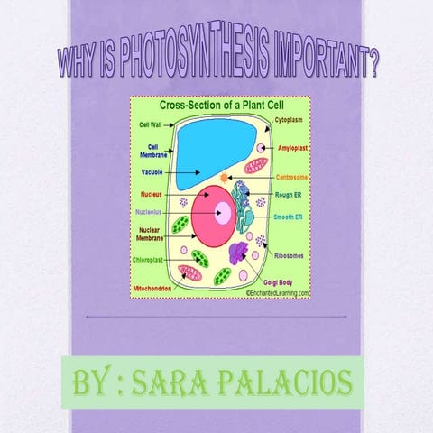 Biology project | PPTX