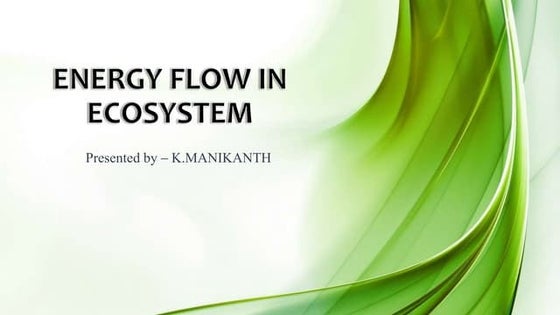 ENERGY FLOW MODELS.pdf