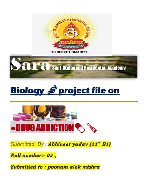 Class 12 Biology Investigatory Project CBSE | PDF
