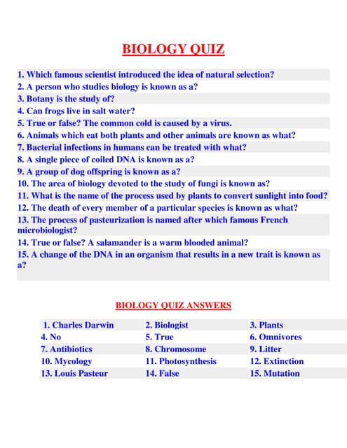 Quiz competition | DOCX