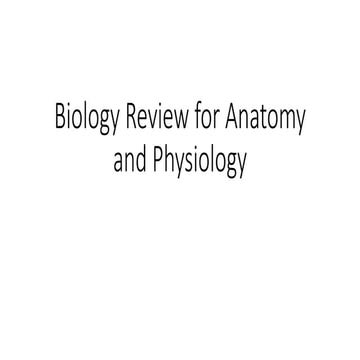 Hreinhardt presentations