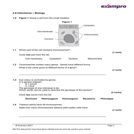 Biology_Separate_Inheritance F-R.pdf | Infertility | Reproductive Health