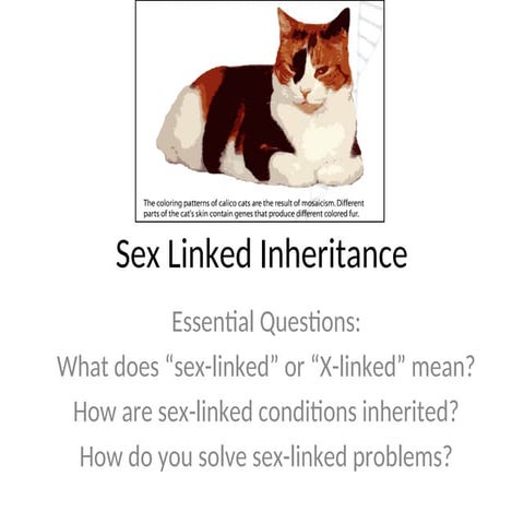 Biology Sexlinkedinheritance Inheritanceppppt