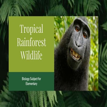 Biology Subject for Elementary_ Tropical Rainforest Wildlife Pink and ...