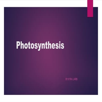 biology photosynthesis.pptx free download | PPTX