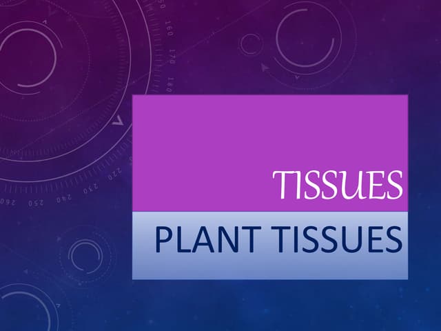 Class 9 tissue chapter 6 | PPT