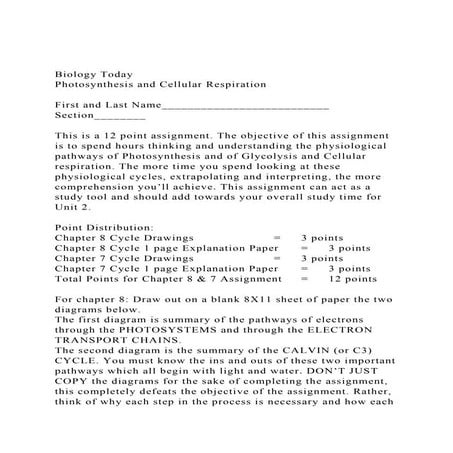 Photosynthesis cellular respiration poster project grading sheet | DOCX