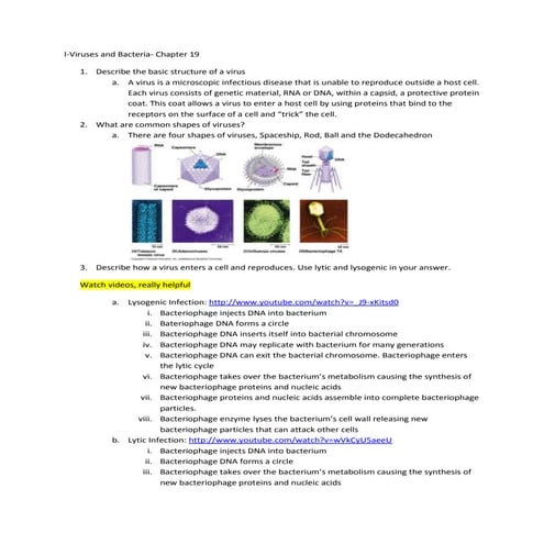 Biology trimester 2 final study guide | DOCX