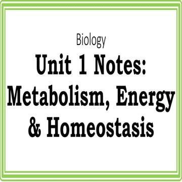 Biology Unit 1 Notes: Metabolism, Energy & Homeostasis | PPTX