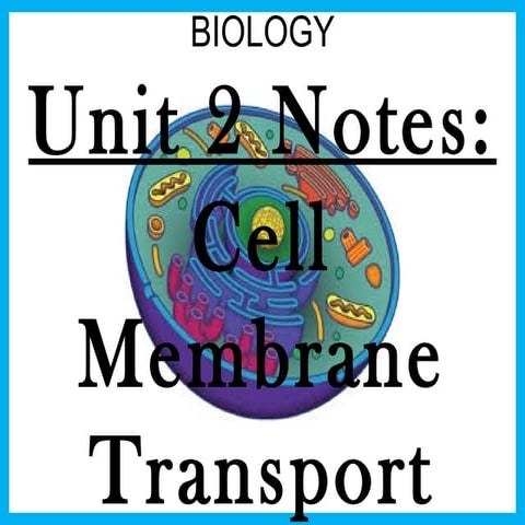 Biology Unit 2 Notes: Cell Membrane Transport | PPT