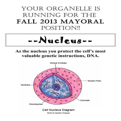 Biology unit 2 cells organelle campaign | PDF