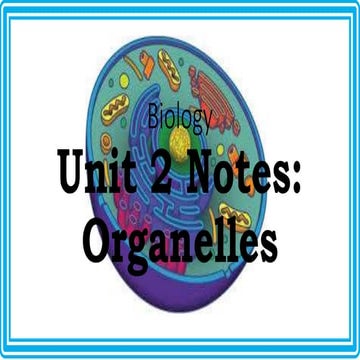 Biology Unit 2 Notes: Organelles | PPT