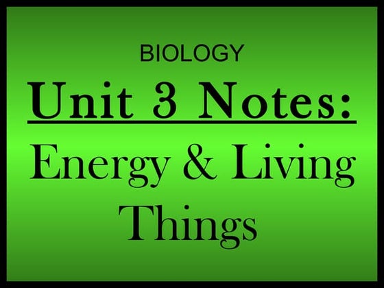 Biology Unit 3 Notes: Cellular Respiration | PPT