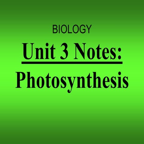 Biology Unit 3 Notes: Photosynthesis | PPT