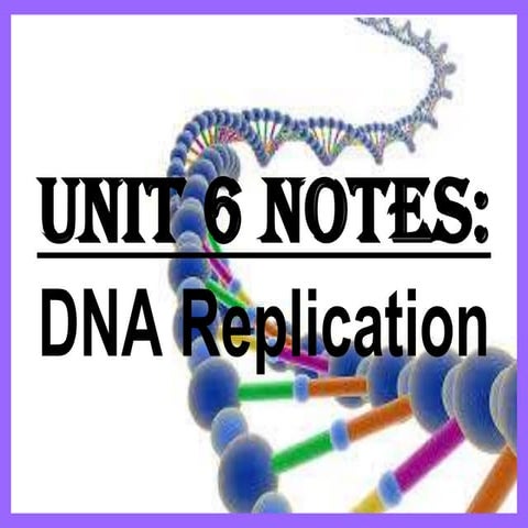 Biology unit 6 dna rna protein synthesis dna replication notes | PPT