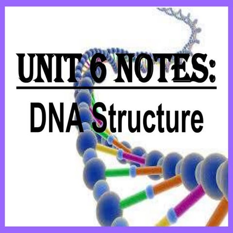 Biology unit 6 dna rna protein synthesis dna structure notes | PPT