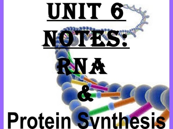 Biology unit 5 genetics punnett square notes | PPT