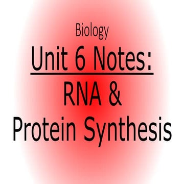 Biology Unit 6 Notes: RNA & Protein Synthesis | PPT