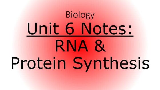 Biology unit 6 dna rna protein synthesis protein synthesis notes | PPT