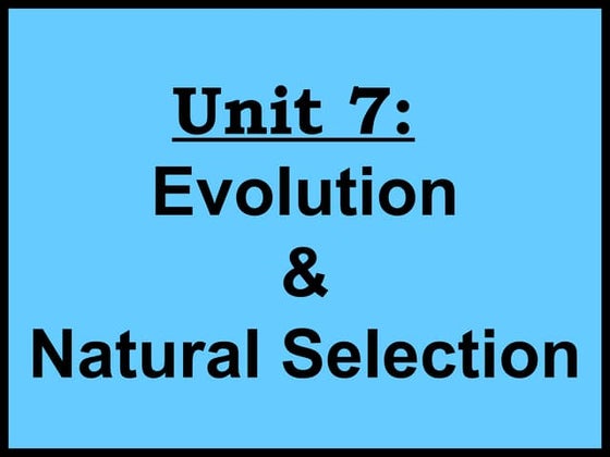 12 biology notes_ch07_evolution | PDF