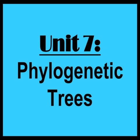 Biology unit 7 evolution phylogenetic tree notes | PPT