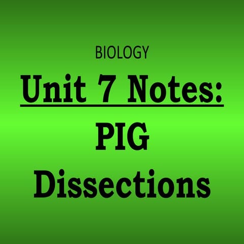 Biology unit 7 organ systems pig dissection notes | PPT | Lung and ...