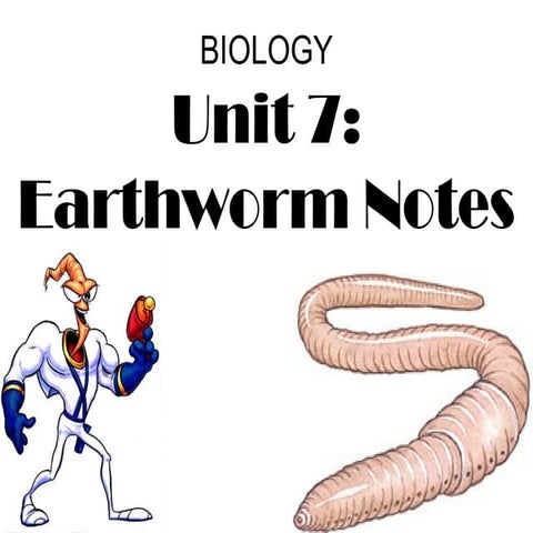 Biology unit 7 organ systems worm notes | PPT