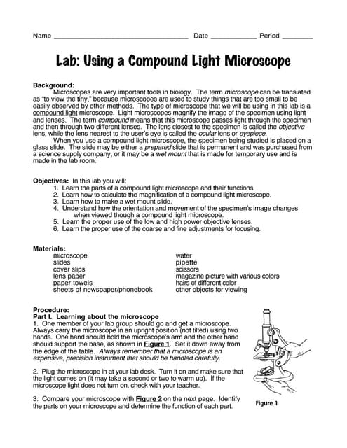 MICROSCOPY SCIENCE 7 - WET MOUNT.pptx | Chemistry | Science