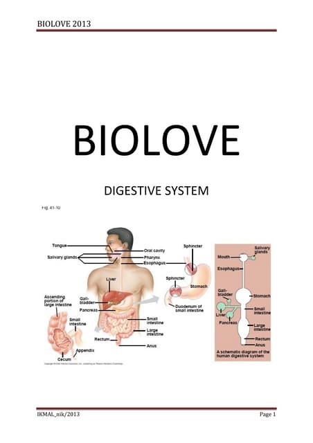 Unit the chemical changes of food | PPTX