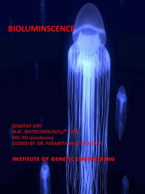 Bioluminescence ppt | PDF | Chemistry | Science