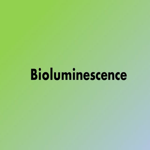 bioluminescence | PPT | Free Download