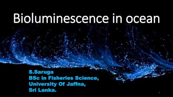 Bioluminescence ppt | PDF | Chemistry | Science