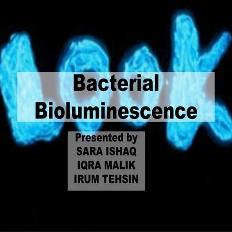 Bioluminescence by iqra malik | PPTX