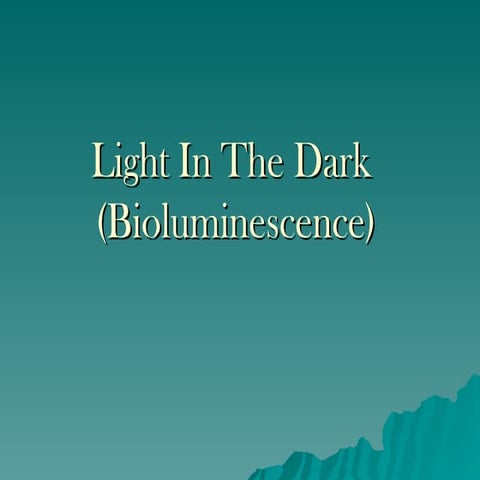 Bioluminescence light in the dark123.ppt