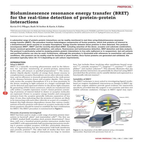 Bioluminescence Resonance Energy Transfer (BRET) ARTUCLO 1.pdf