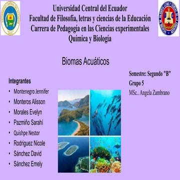 Ejemplos De Biomas Pack: Dibujo De Ecosistema Terrestre Y Marino Para