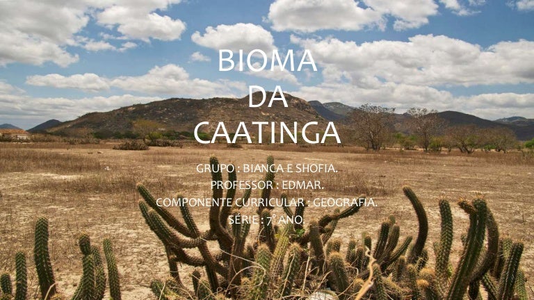 Caatinga