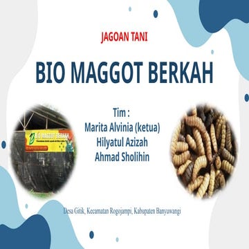 Analisis Usaha Bisnis Bio Maggot Berkah.pptx